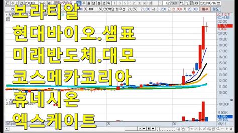 관심종목 보라티알현대바이오샘표미래반도체대모코스메카코리아휴네시온엑스케이트 Youtube