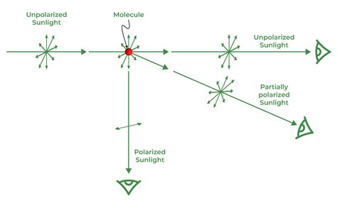 Polarisation By Scattering And Reflection Geeksforgeeks