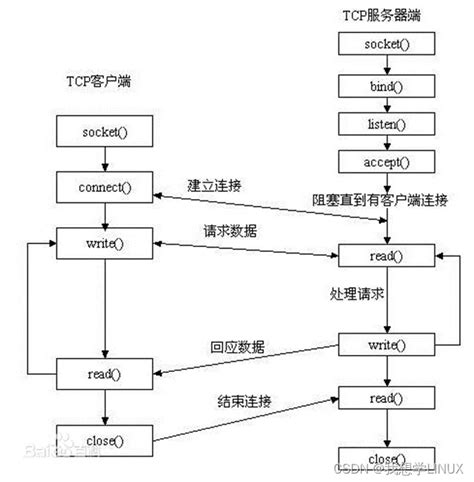 Linux下的网络编程——网络基础、socket编程（一） 阿里云开发者社区