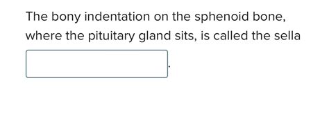 Solved The Bony Indentation On The Sphenoid Bone Where The