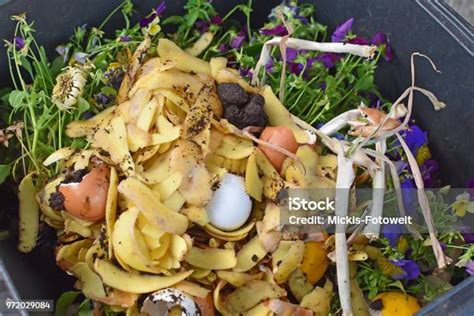 감자 껍질 계란 Escallion 및 재활용에 대 한 꽃 같은 다양 한 유기 폐기물 컨테이너를 생물으로 보기 쓰레기에 대한 스톡 사진 및 기타 이미지 Istock