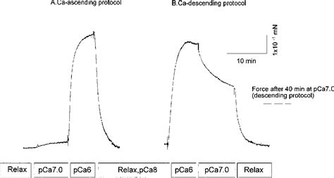 Figure 1 From Mgadp Promotes A Catch Like State Developed Through Force Calcium Hysteresis In