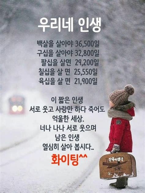 감사에 있는 진달래님의 핀 2024 멋진 명언 새해 문구 인생 레슨