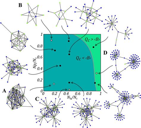 exploration of the theoretical morphospace of ecotype pathogen
