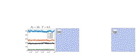 Fig S5 Instantaneous Area And Perimeter And Distribution Of Polygons