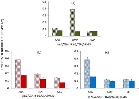 Nitrocefin Assay Denoting Comparative Expression Of Beta Lactamases A