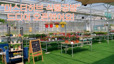 미스터허브 식물공방을 소개합니다 Youtube
