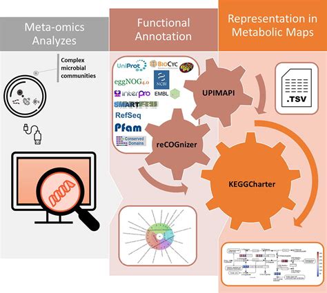Upimapi Recognizer And Keggcharter Bioinformatics Tools For Functional Annotation And