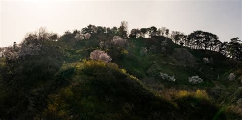 春日山 Images Browse 419 Stock Photos Vectors and Video Adobe Stock