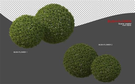 Premium Psd Shrubs And Flowers For Landscaping
