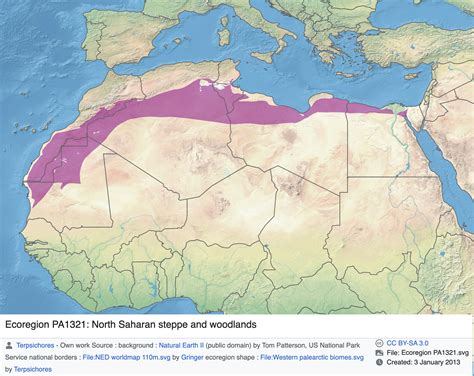 Sahara Desert Ecoregion Sahara Overland