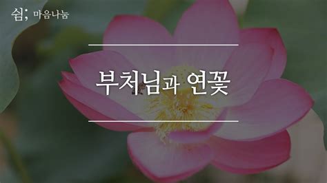 부처님과 연꽃 쉼마음나눔 Youtube