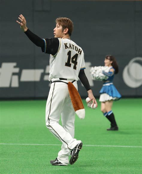 【日本ハム】加藤貴之2度目完封で自己最多タイ7勝目 再生数84万超「謎きつねダンス」はお預け プロ野球写真ニュース 日刊スポーツ