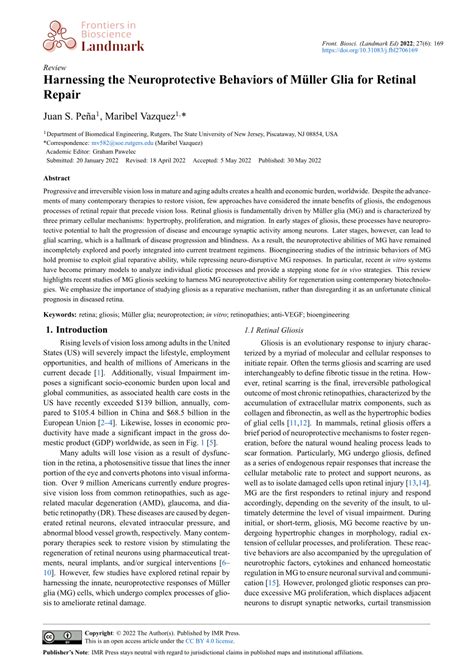 Pdf Harnessing The Neuroprotective Behaviors Of Müller Glia For