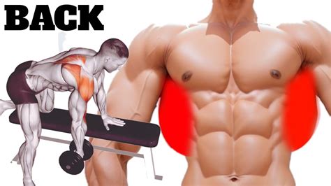 Best Perfect Back Workout Youtube