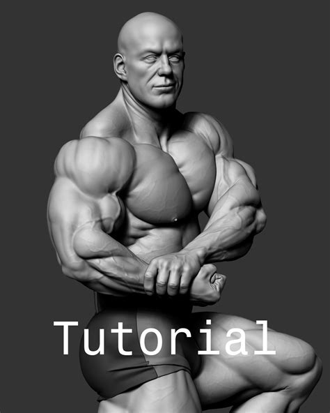 Artstation Advance Zbrush Bodybuilder Anatomy Tutorial