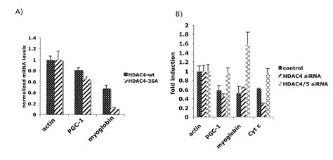Methods And Compositions For Regulating Hdac4 Activity Eureka