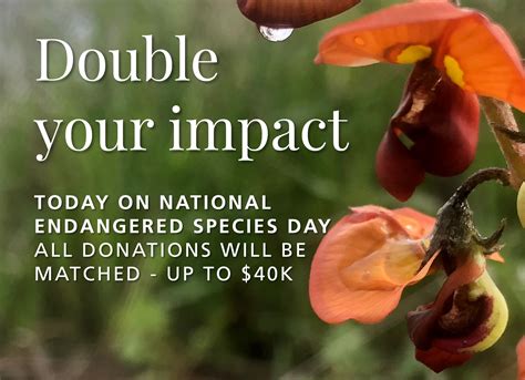 Double Your Donation Today