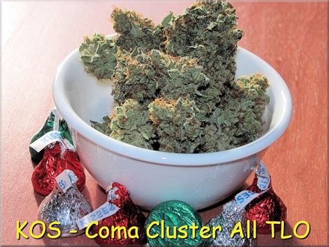 Coma Cluster Strain Information Cannaconnection