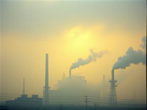 Key Insights From The Limits To Growth Report World History