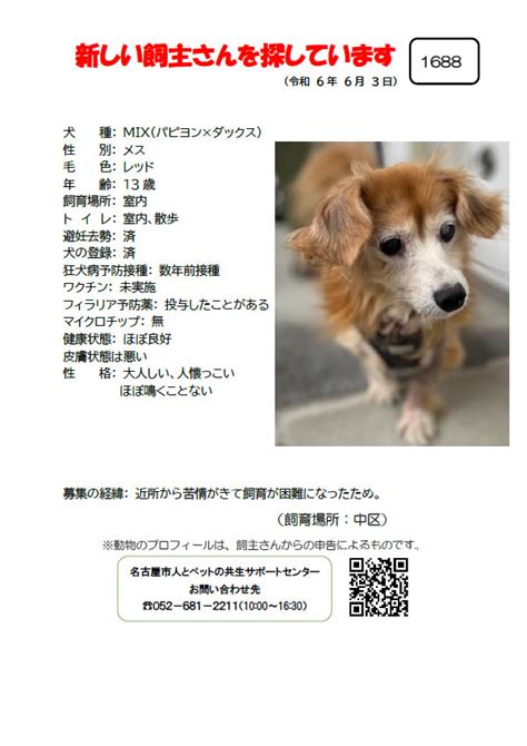 新しい飼主さんを探しています 【1】2024年6月3日掲載 猫の里親、犬の里親、募集中 ～ 名古屋市 人とペットの共生サポートセンター