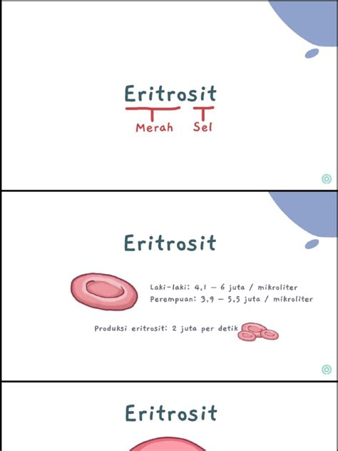 Eritrosit Pdf