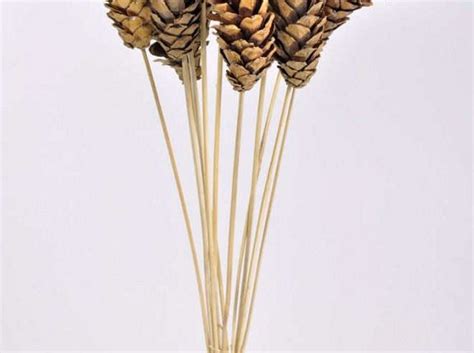 Store Decofleur