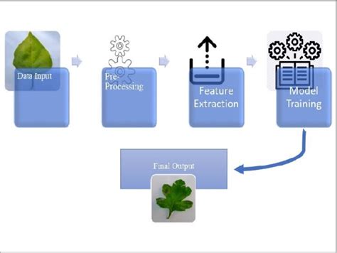 Figure 1 From Flower Leaf Image Classification Using Machine Learning Techniques Semantic Scholar