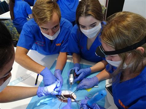 Orthopedic Fracture Reduction Course Apprentice Doctor