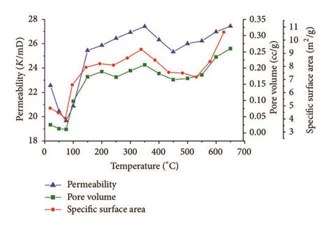 Variation Of The Permeability Specific Surface Area And Pore Volume