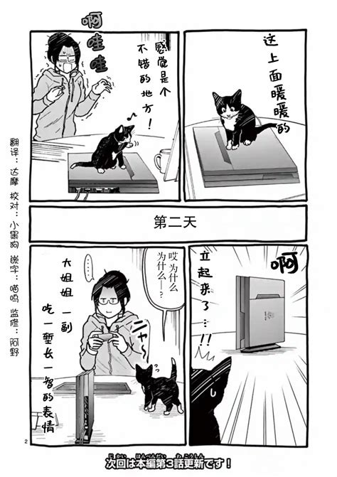 25話 愛貓相伴的玩家小姐 包子漫畫