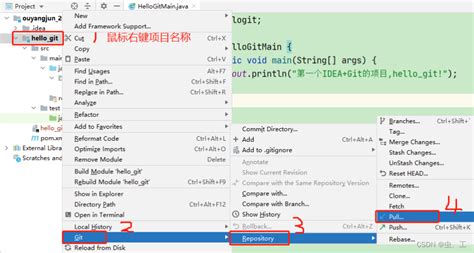 Idea中git如何commitpushpullidea Git Pull Csdn博客