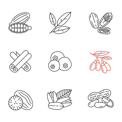 Spices Linear Icons Set Thin Line Contour Symbols Cardamom Bay Leaves Pecan Nut Cinnamon
