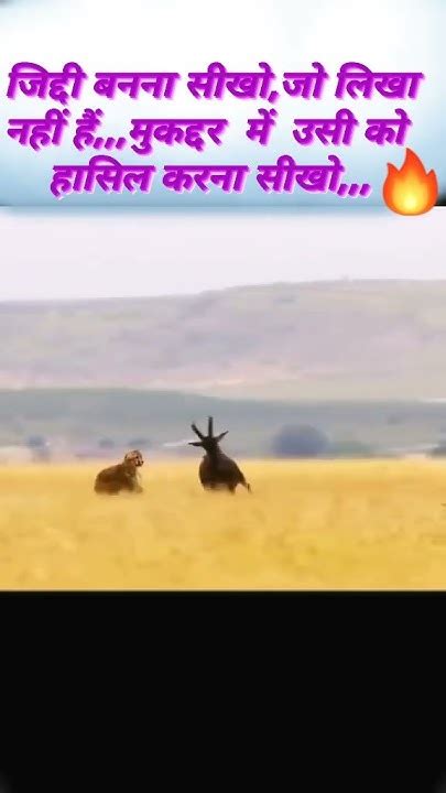 जिद्दी बनों Very Most Important Motivational Successful Youtube