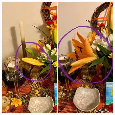 126 Best Litha Images On Pholder Piercing Wicca And Piercing Advice