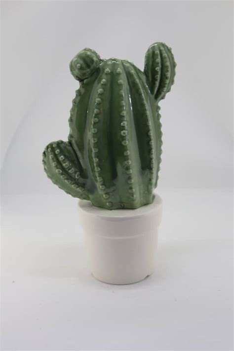 اصيص ورد صبار Swilem Group