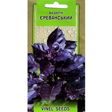 Базилик Ереванский Vinel seeds (95484): купить семена почтой в Украине ...