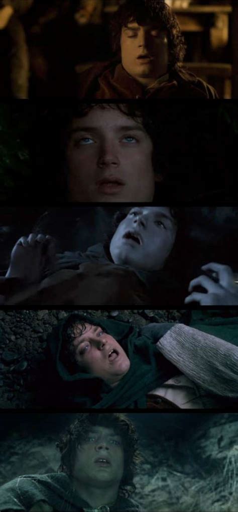 Frodo Baggins Funny Quotes Quotesgram