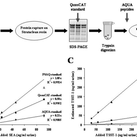 Comparison Of Aqua Peptides Qconcat Concatemer And Psaq Standards For