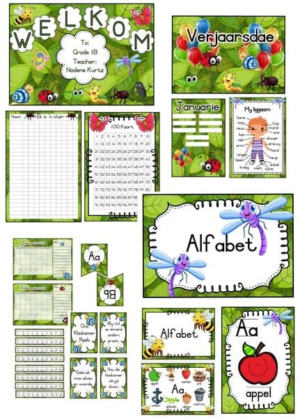 Insect Classroom Package · Dazziling School Decor