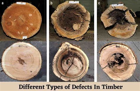 Defects In Timber | Top Defects Of Timber | 5 Different Types Of Defects In Timber | Foxiness In ...