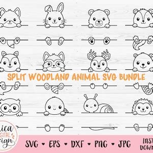 Woodland Tier Namen Rahmen SVG Schnittdatei Cricut Silhouette Split