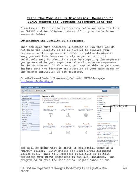 Blast And Seq Align Fall 2021 Using The Computer In Biochemical