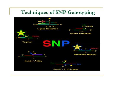 Snp Genotyping Technologies