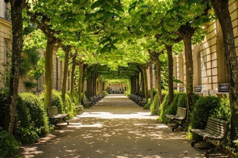 Garden Architecture Vegetation Furniture Premium Ai Generated Image