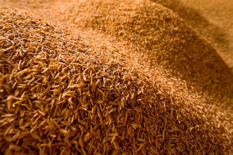 Rice Husk Exporters In Pune Maharashtra India By Kirveexim Id 5509254