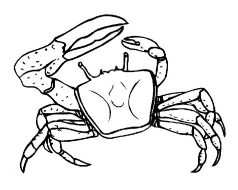 Top B T M U Con Cua Update