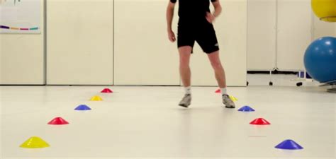 Motor Control Motor Learning ACL Mangement