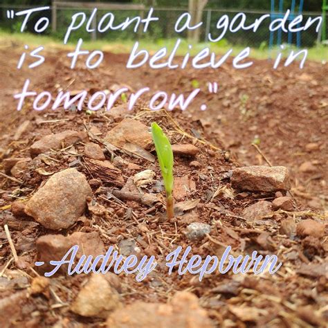 To Plant A Garden Is To Believe In Tomorrow Audreyhepburn