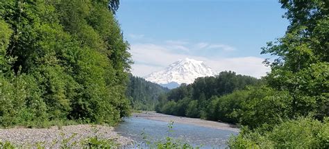 Carbon River Trail Orting Washington 54 Reviews Map Alltrails